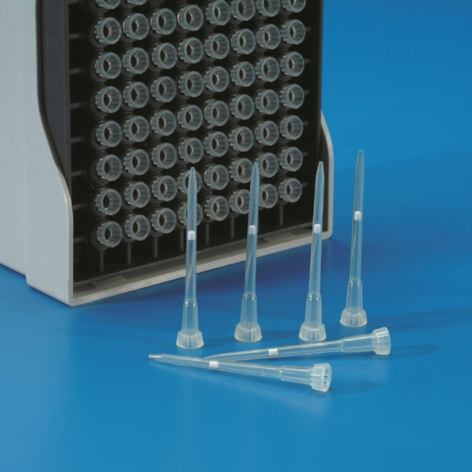 Filter Tips Capacity 05 20 Microliters - Micropipettes Tips - Dispolab ...
