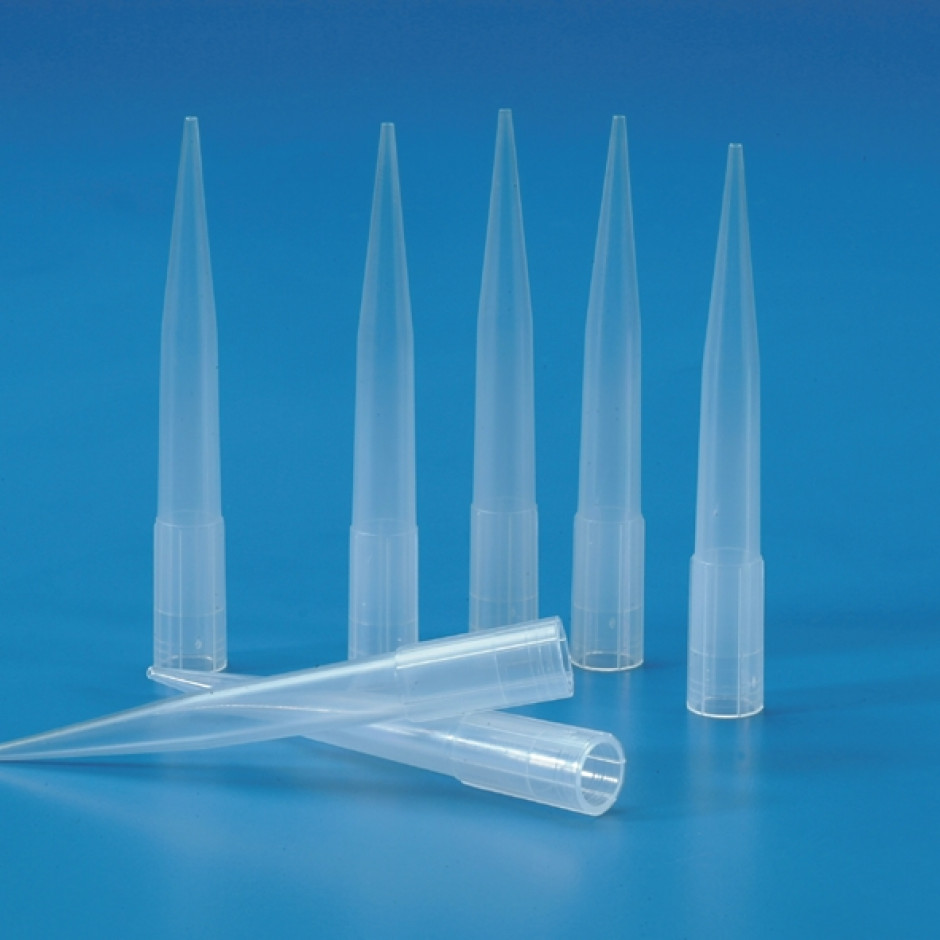 Tips Capacity 50 1000 Microliters - Micropipettes Tips - Dispolab ...